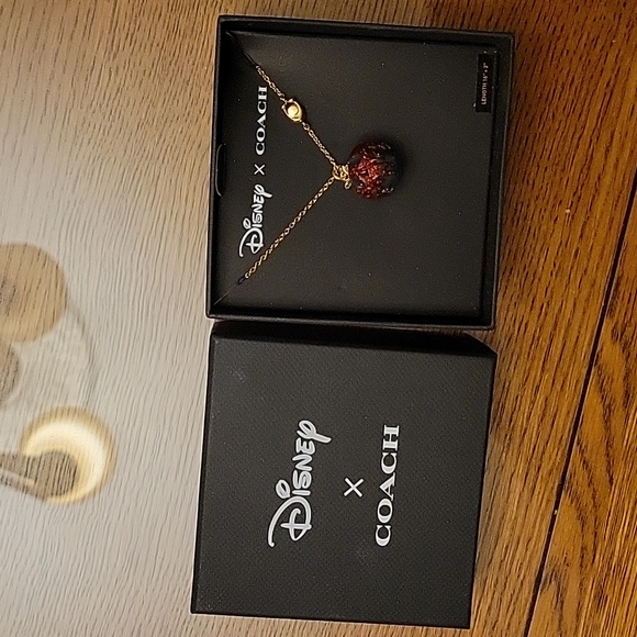 Coach | Jewelry | New Disney X Coach Poison Apple Snow White Villains ...